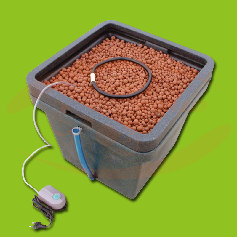 GHE WaterFarm - Ethnic World