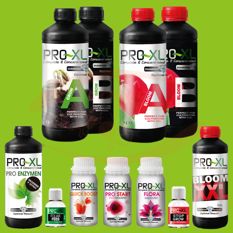 PRO-XL Starter Kit - Ethnic World