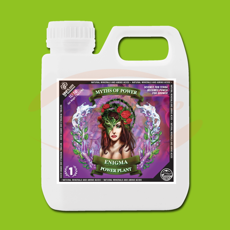 TP Enigma Power Plant - Ethnic World