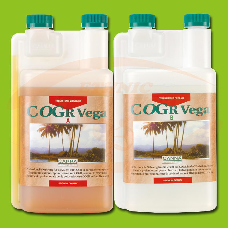 CANNA COGr Vega A+B - Ethnic World