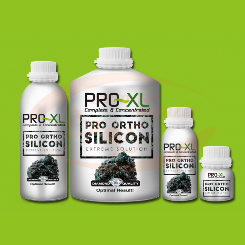 PRO-XL Pro Ortho Silicon - Ethnic World