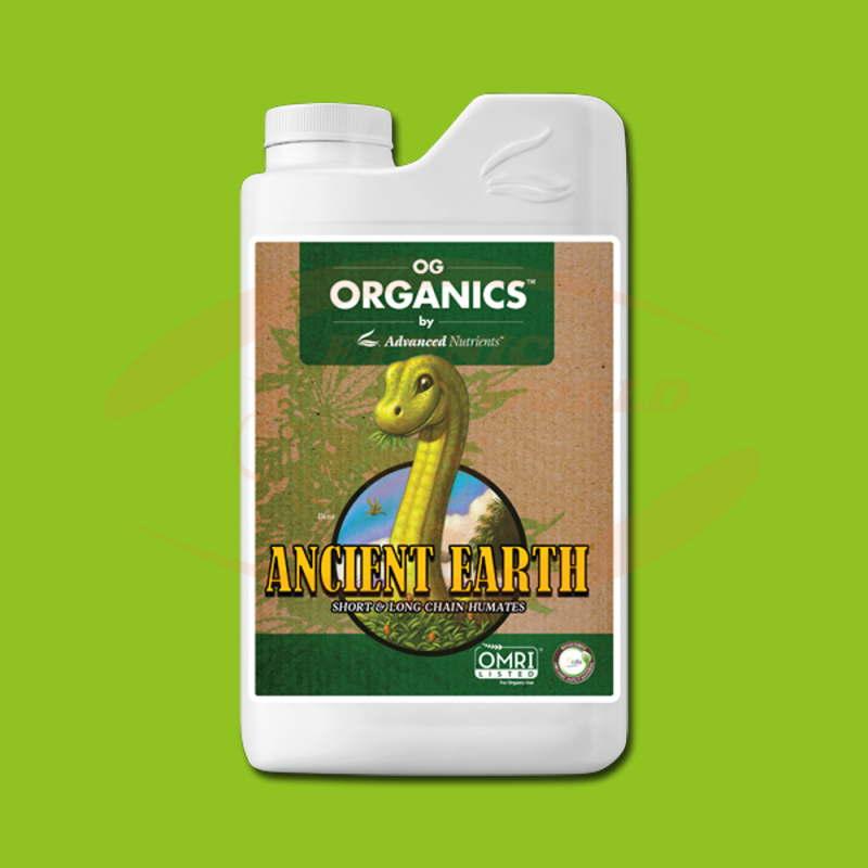 AN OG Organics Ancient Earth - Ethnic World