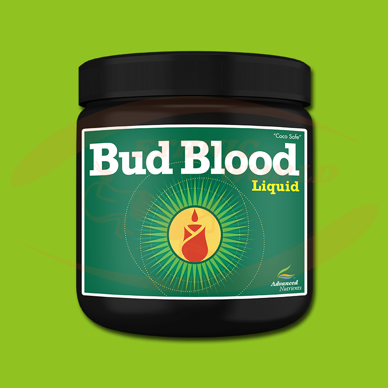 AN Bud Blood Powder - Ethnic World
