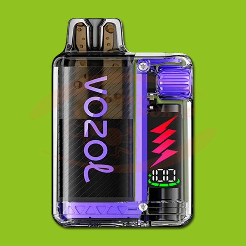 Vista Plug KIT 10000 puffs 20 mg Blackberry Ice - Ethnic World
